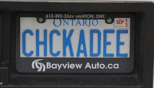 Birding License Plates - Vermont Birder